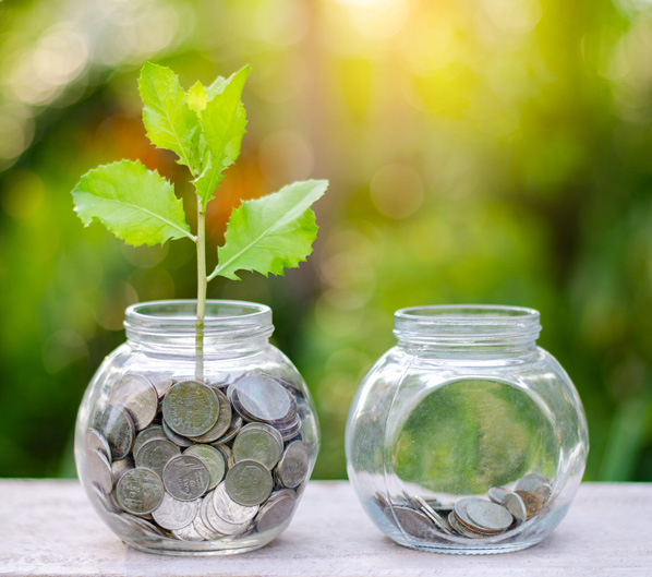 TEFLA Group - Multidimensional Greening & Civils company - SA