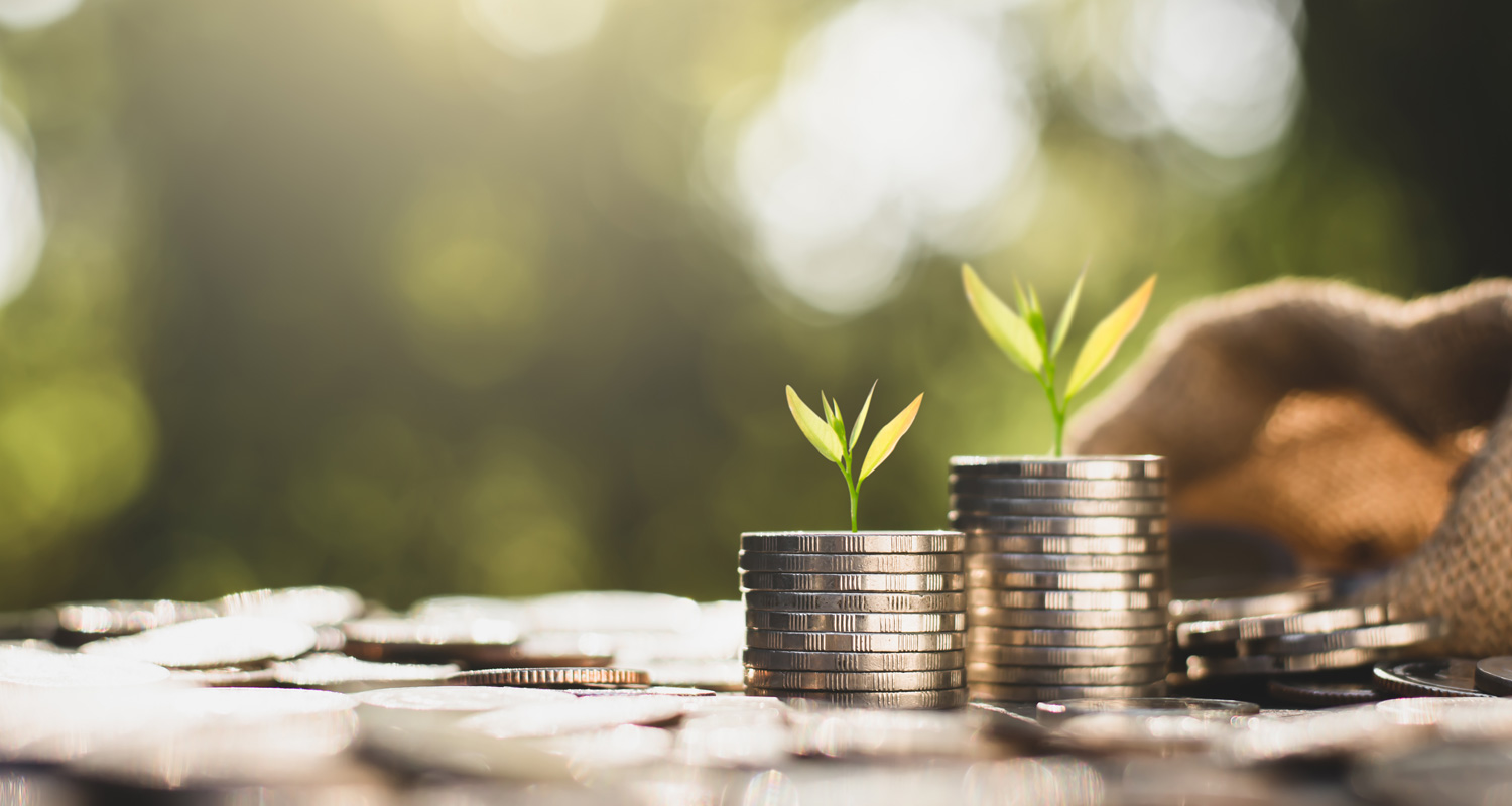 TEFLA Group - Multidimensional Greening & Civils company - SA